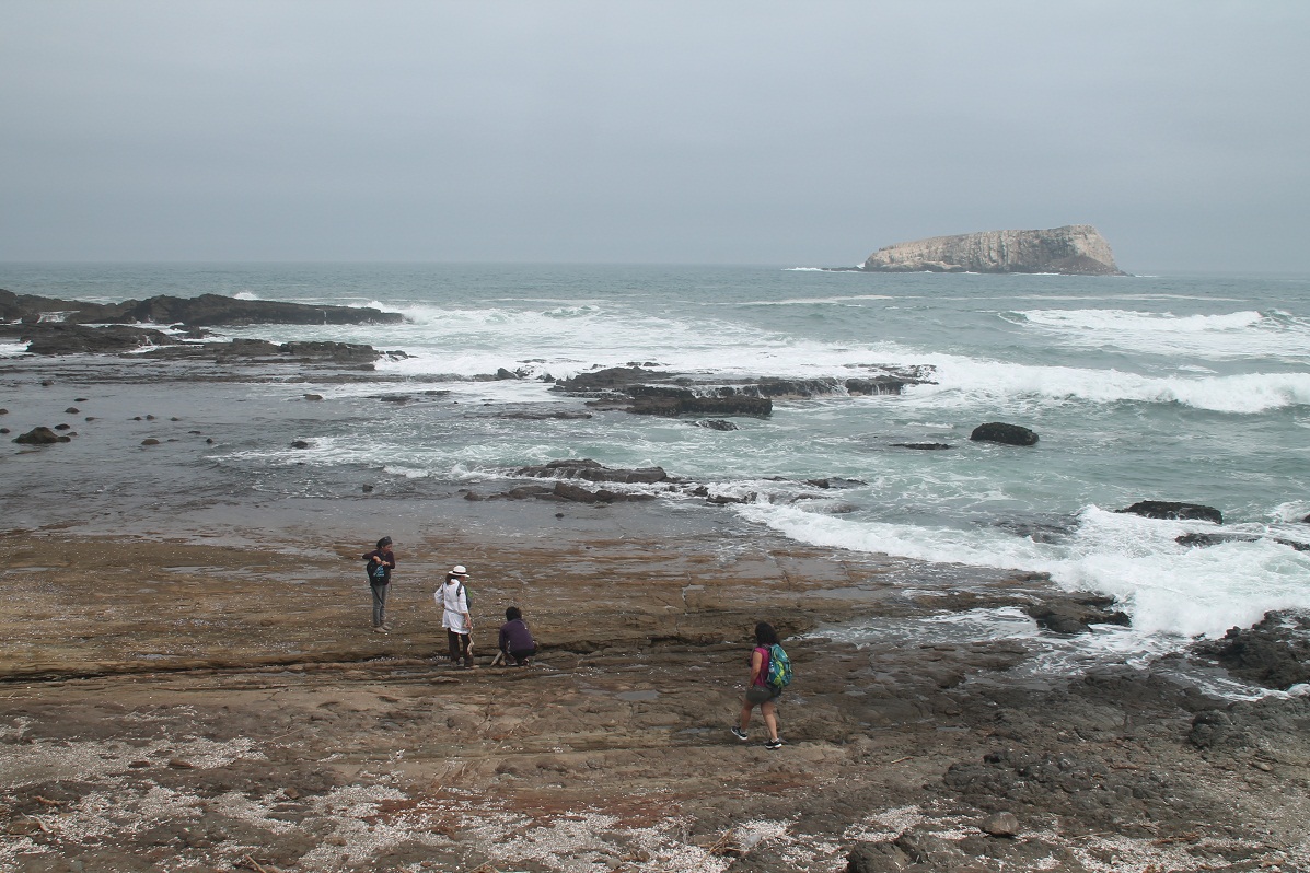 Tititrek excursiones, campamentos y exploraciones: PUNTA PATILLOS - HUARMEY