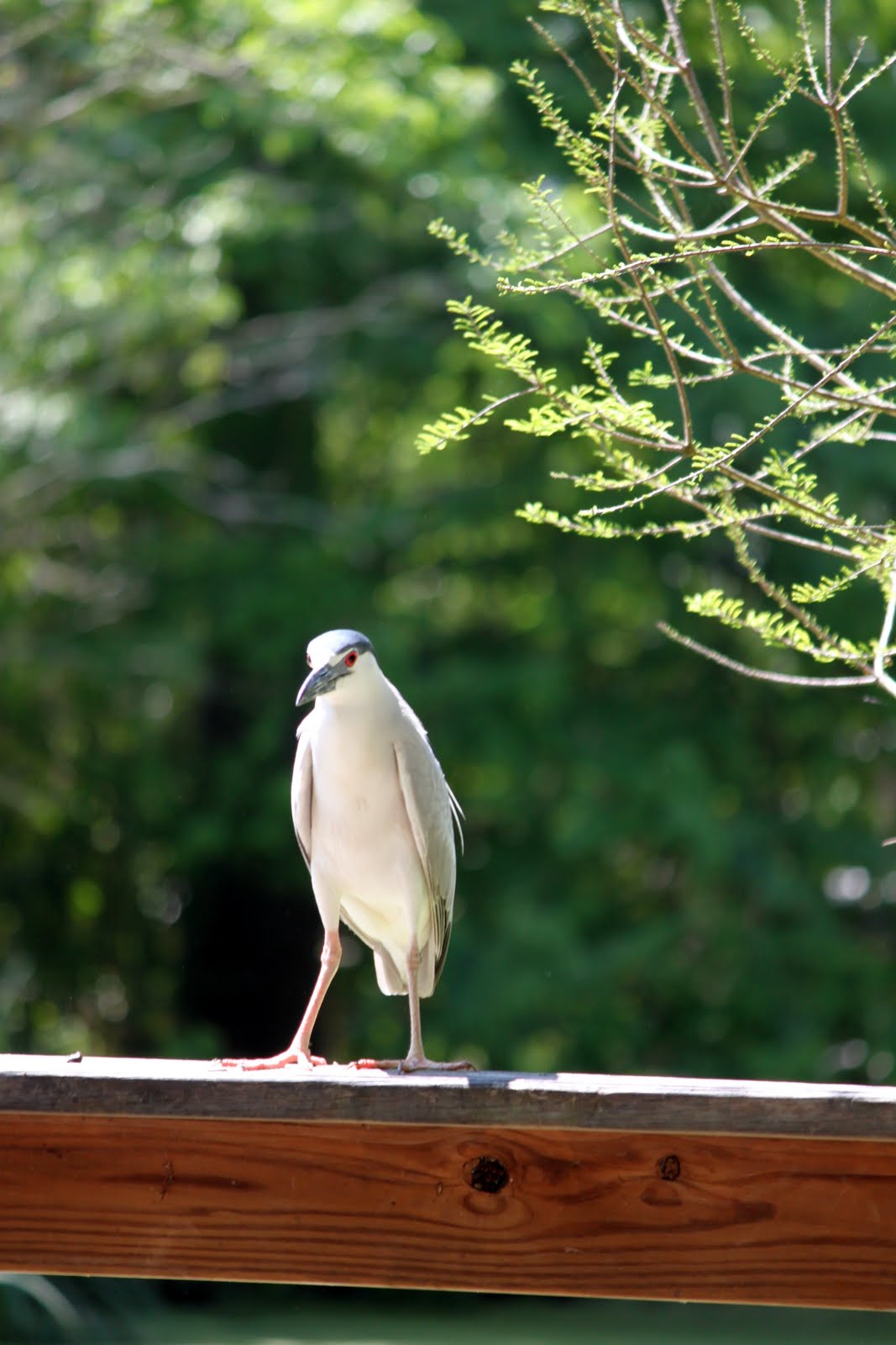 The Robertson Family: New Orleans Zoo