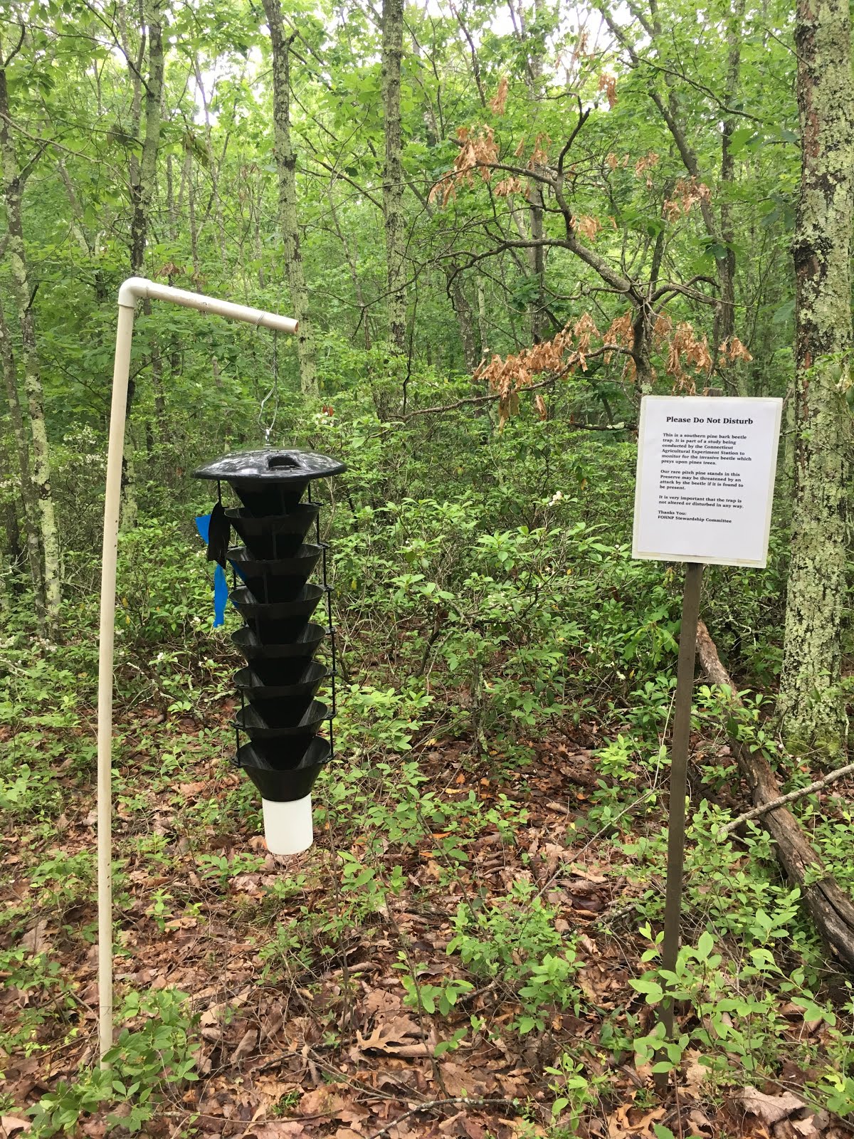 The Nature Playground