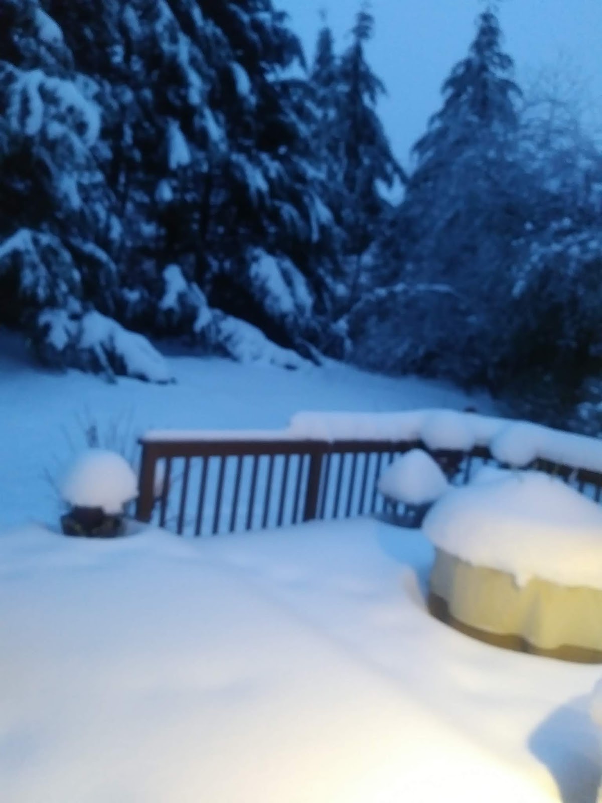 Barers of Maple Valley: Snowy Backyard