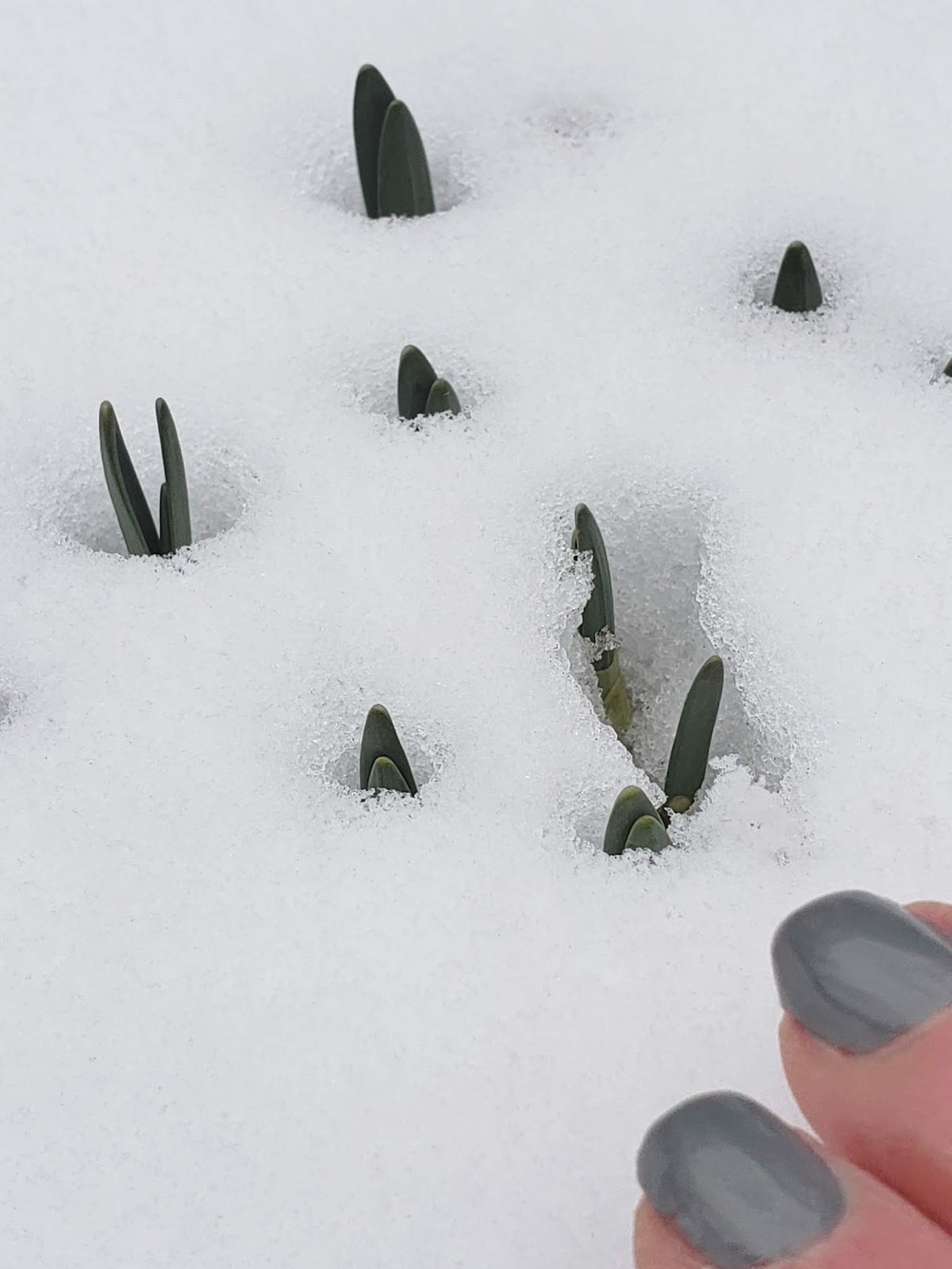 Spring Nail Colors 2019: Zoya Innocence Collection, Swatches and Review