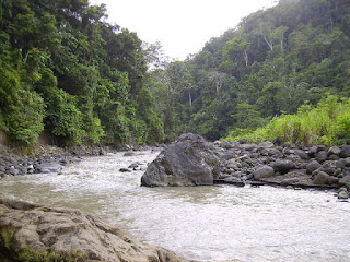 Mas Kagin Tapani: Status Of Current REDD Projects In PNG And The ...