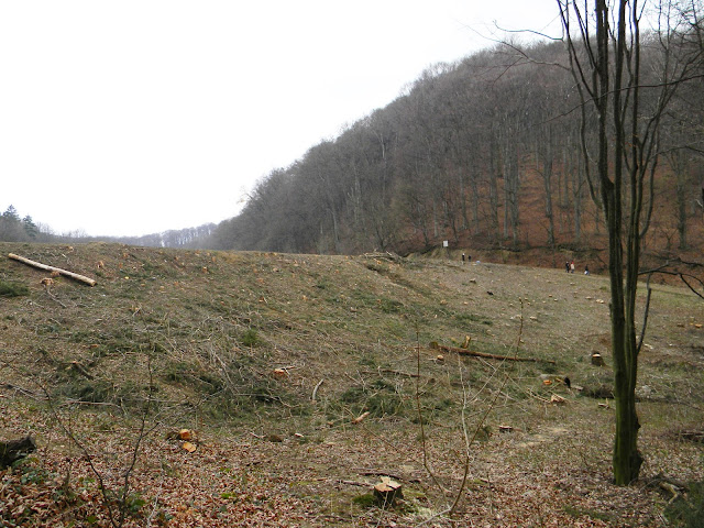 Blog de Calatorii si Drumetii Montane.: Lacul de la Codlea ,jud.Brasov ...