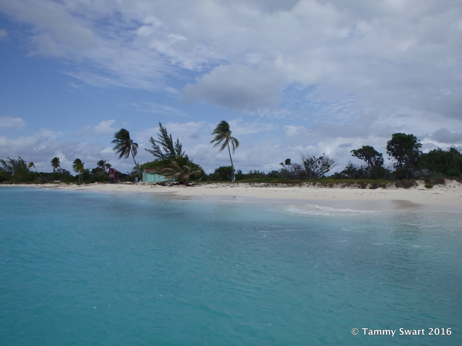Things we did today...: Great Inagua Far Bahamas