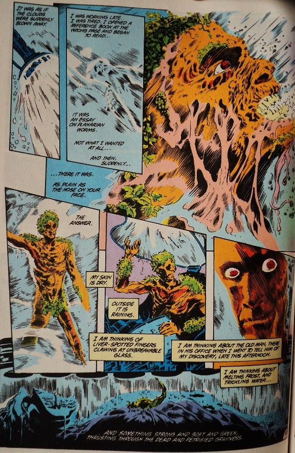 Arion's Archaic Art: Saga of the Swamp Thing # 20 & 21 - Alan Moore ...