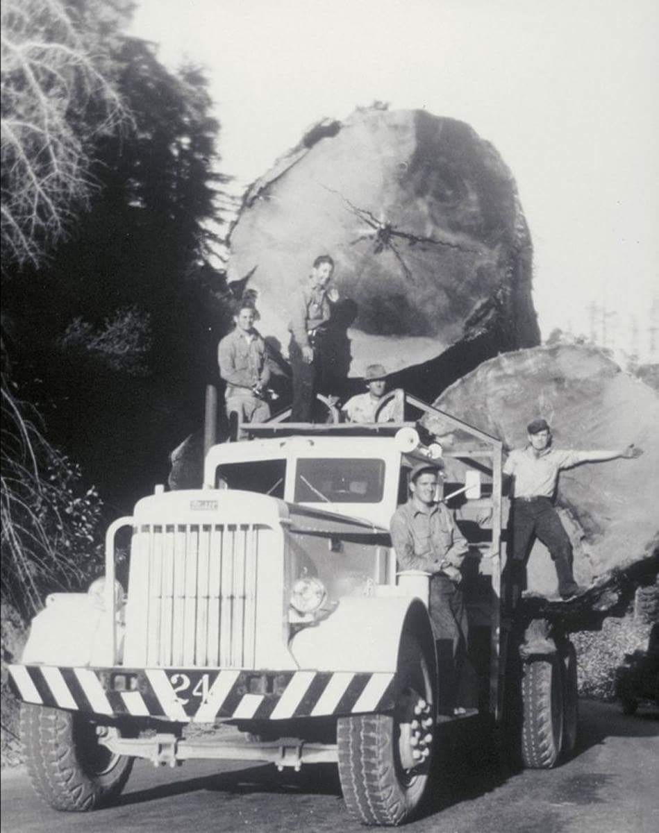Just A Car Guy: the Paul Bunyan load, September, 1952. A 1949 Peterbilt ...