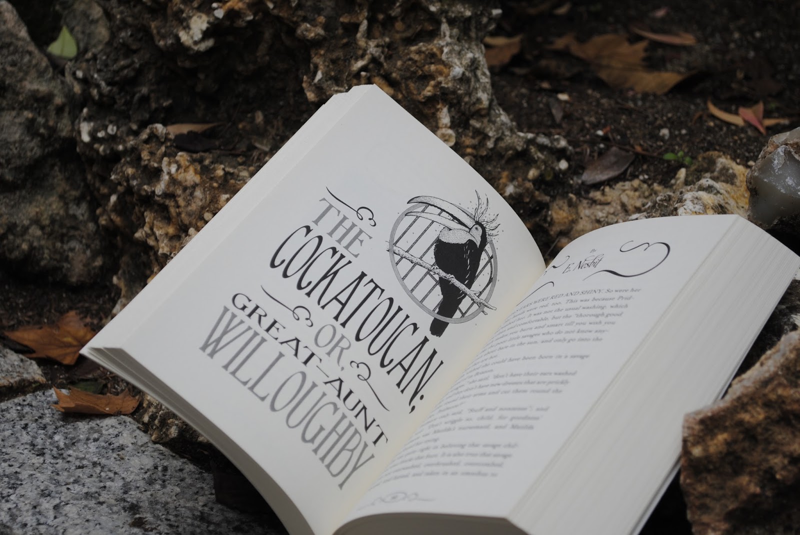Book Review // Unnatural Creatures. Stories Selected by Neil Gaiman