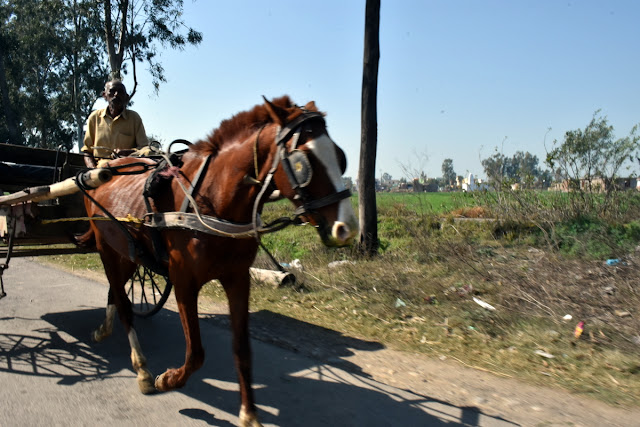 Suchetgarh Border |Search Kashmir