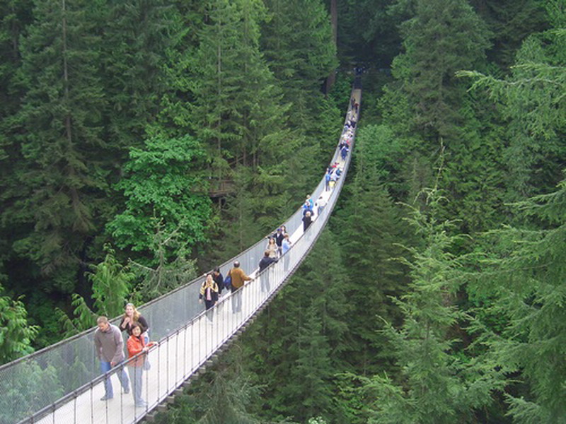 Travelling Place: Forest Capilano Vancouver, Canada|Tour And Travel