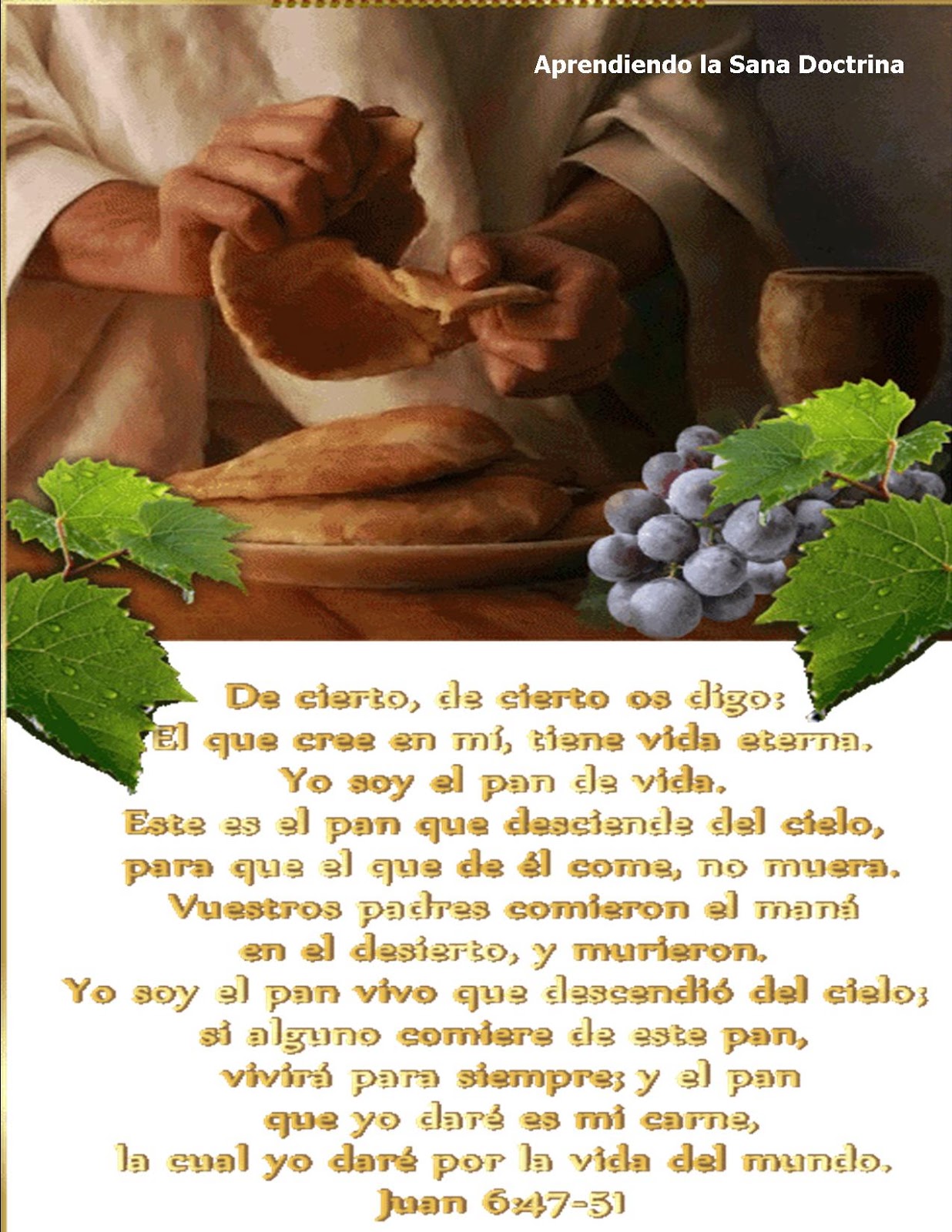 Aprendiendo la Sana Doctrina: ¿QUÉ SIGNIFICA CREER?