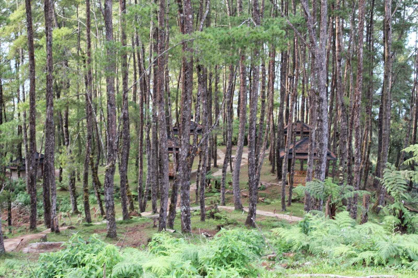 Wisata Alam Pango-Pango Tana Toraja | Aneka Wisata Nusantara