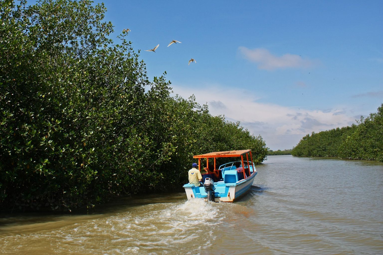 DESTINOS TURISTICOS DEL PERU: Santuario nacional Manglares de Tumbes