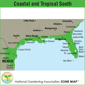 BBICWW : La Costa de Texas.