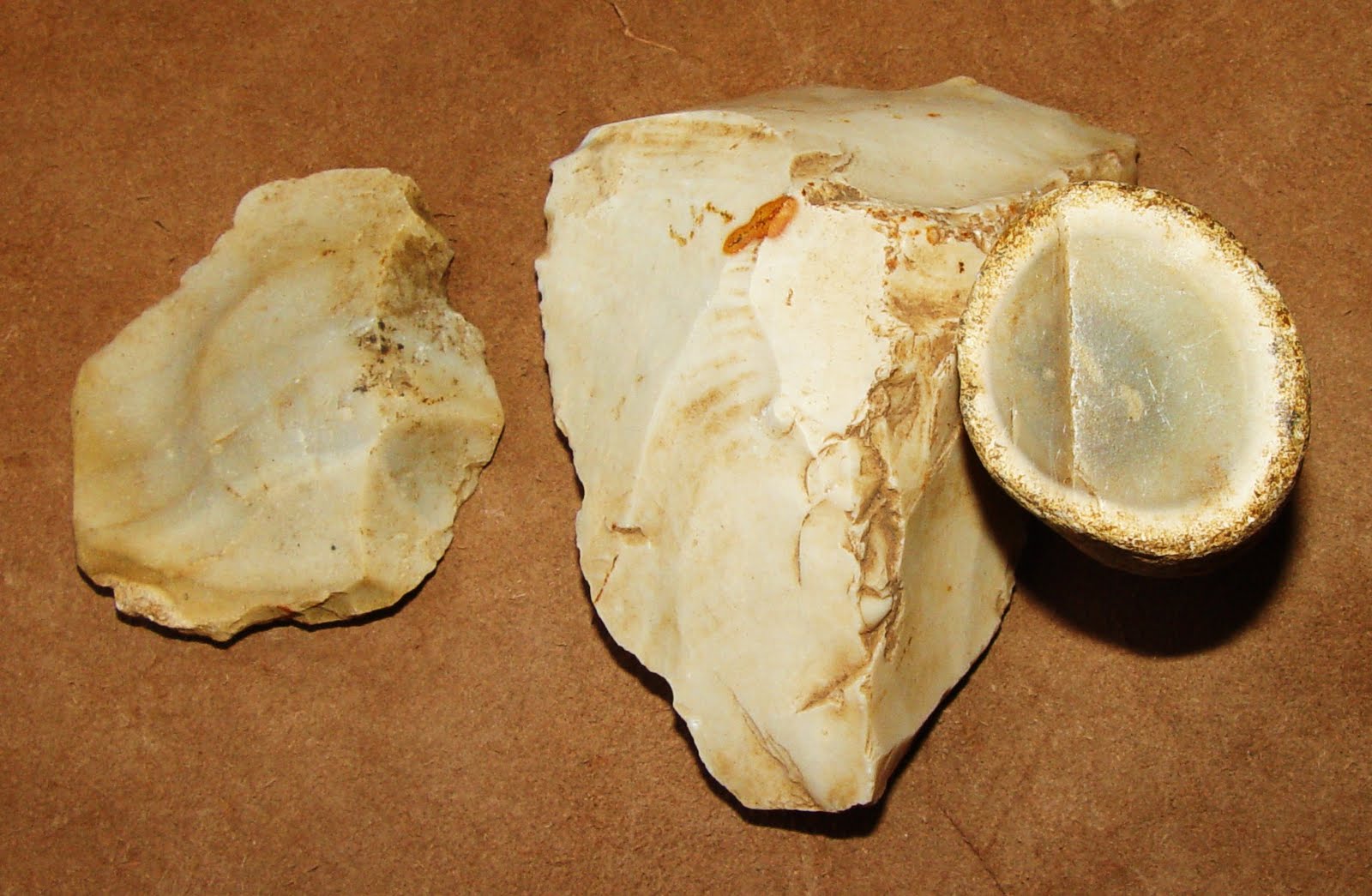 LA MIA PREISTORIA: ANATOMIA DELLA SELCE