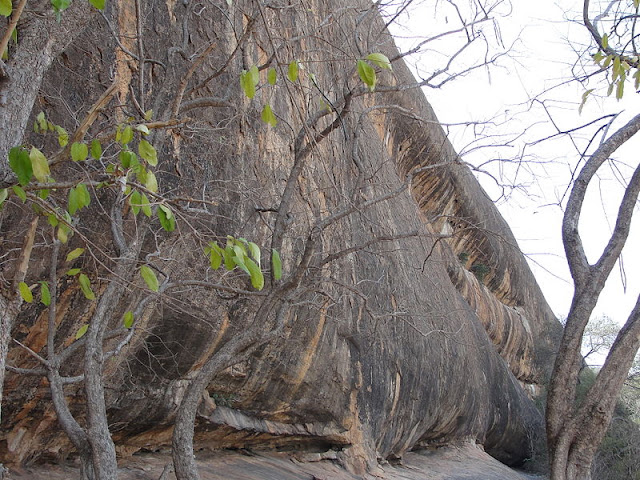 Tamilnadu Tourism: Sittannavasal, Pudukottai