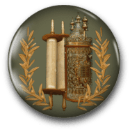 Israel Defense Forces,logo,badges and wallpaper 3D-HD: IDF badge button ...