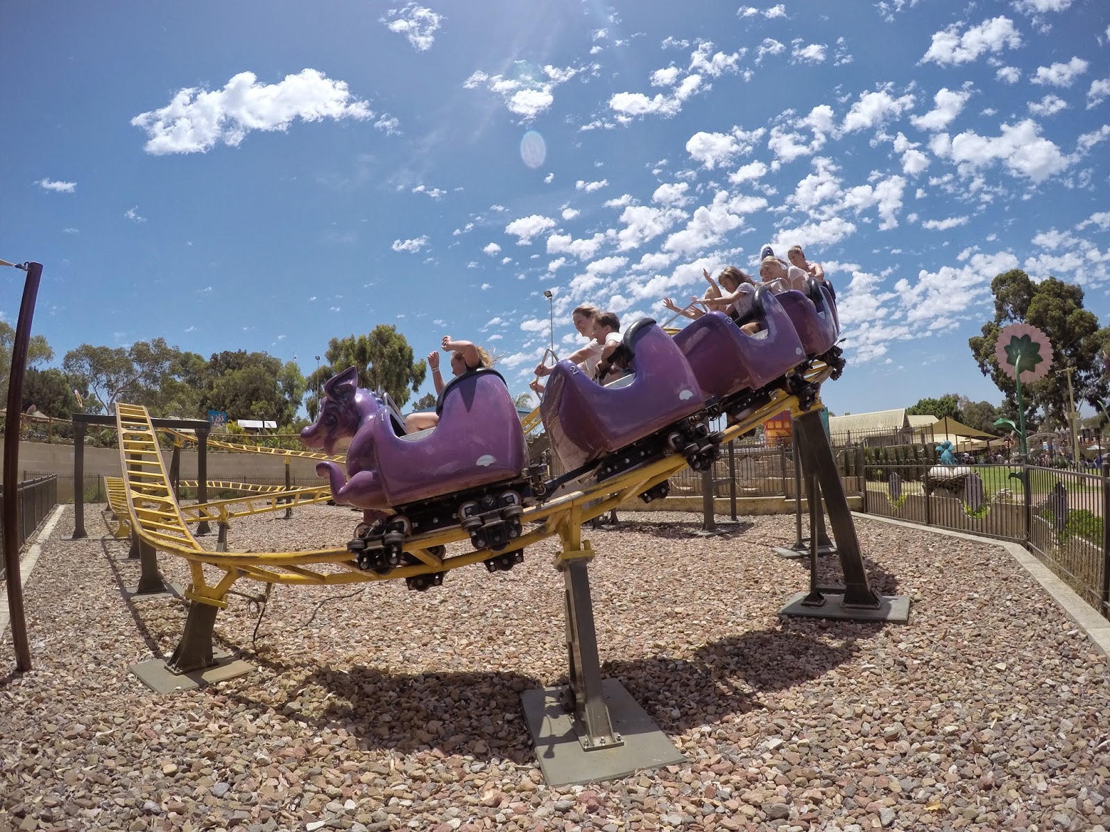 Out & about in Perth with Bub, Moo and Char: Adventure World Perth