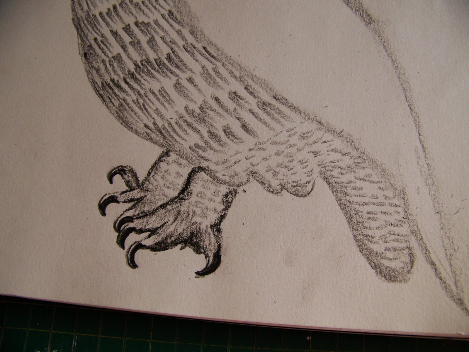 A Pretty Talent Blog: Learn to draw an almost realistic owl step by step