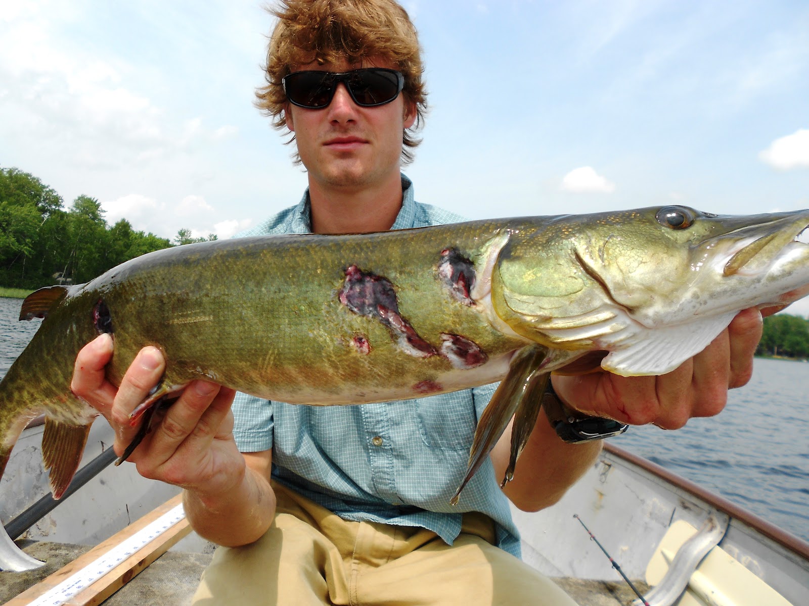 Northwoods Way Outfitters: Muskie Bites