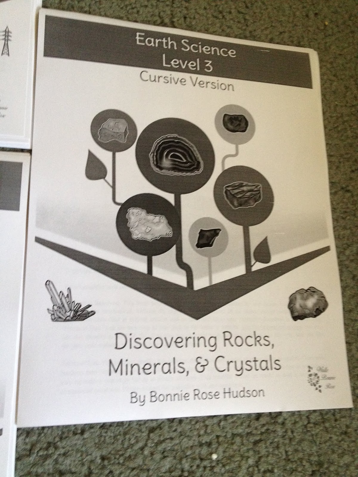 Puddle Jumping: Homeschool Review Crew - Learning About Science from ...