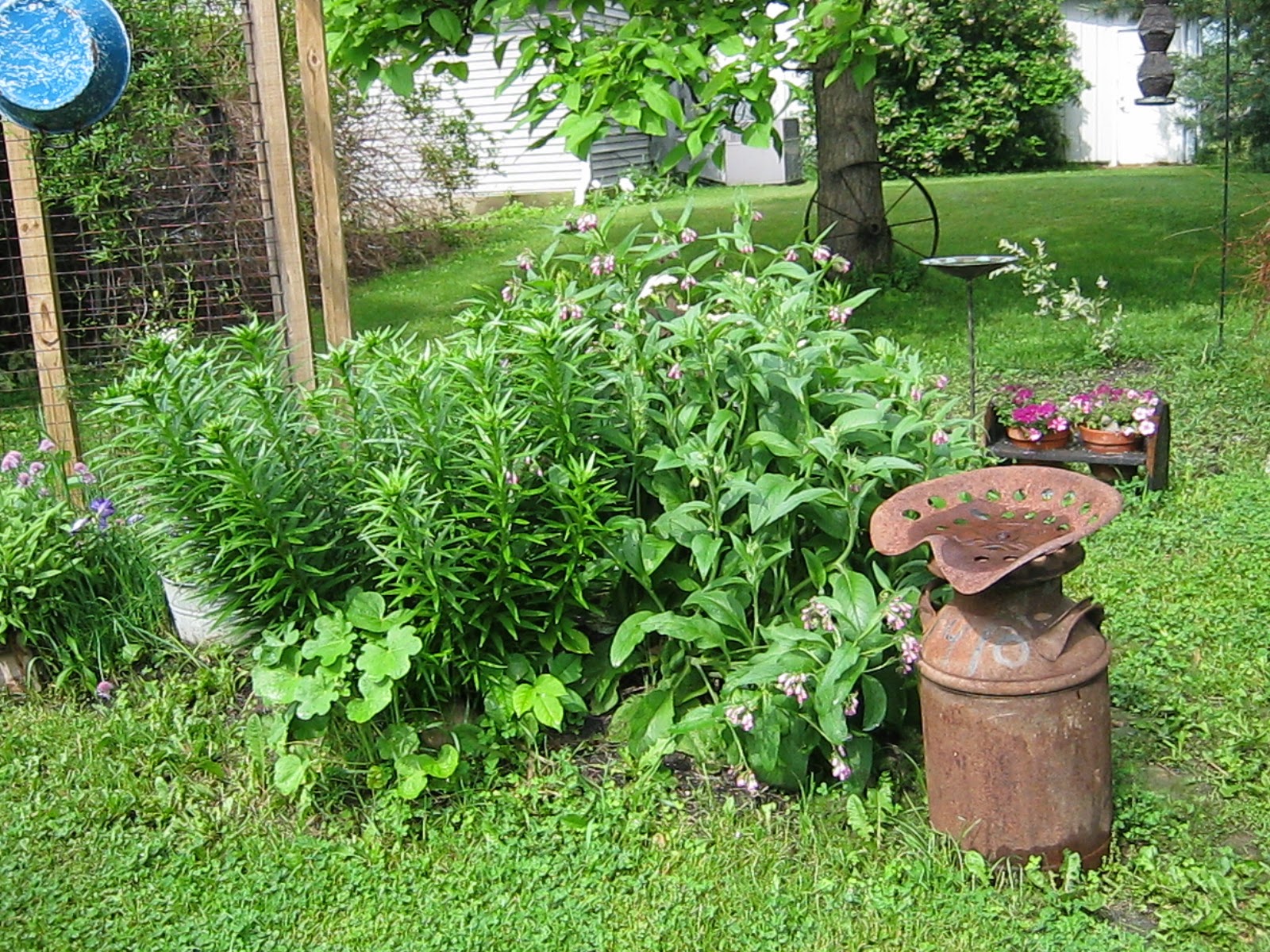 Primitive Passion Decorating: Garden update