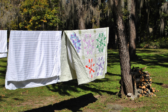 Walnut Grove Farm: Clotheslined