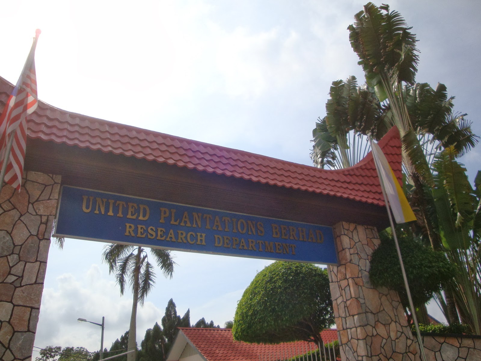 expatdiva: United Plantations Berhad - the World's Best Plantation - Part 1