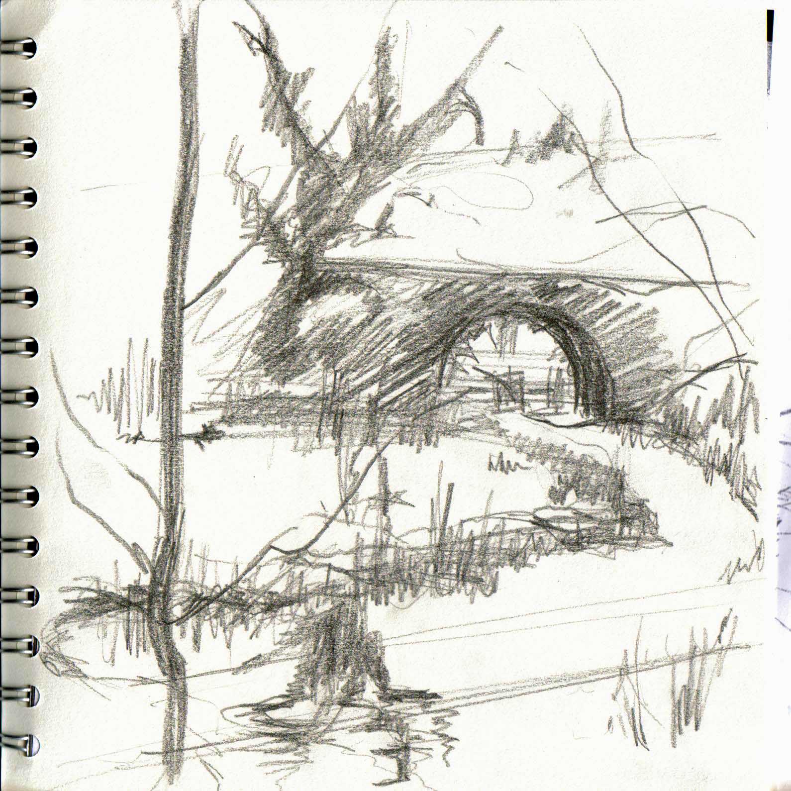 Wendy Rhodes - Artist: Charcoal drawing - Brook reflection