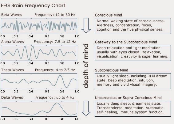 Operation/ Project Monarch - Ωmnibus