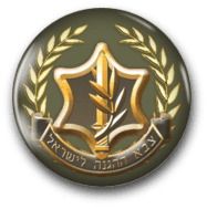 Israel Defense Forces,logo,badges and wallpaper 3D-HD: IDF badge button ...