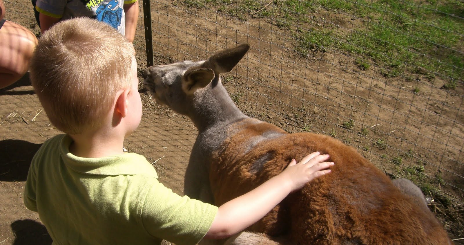 Around Puget Sound and Beyond: Zoo -- Outback Kangaroo Farm ...