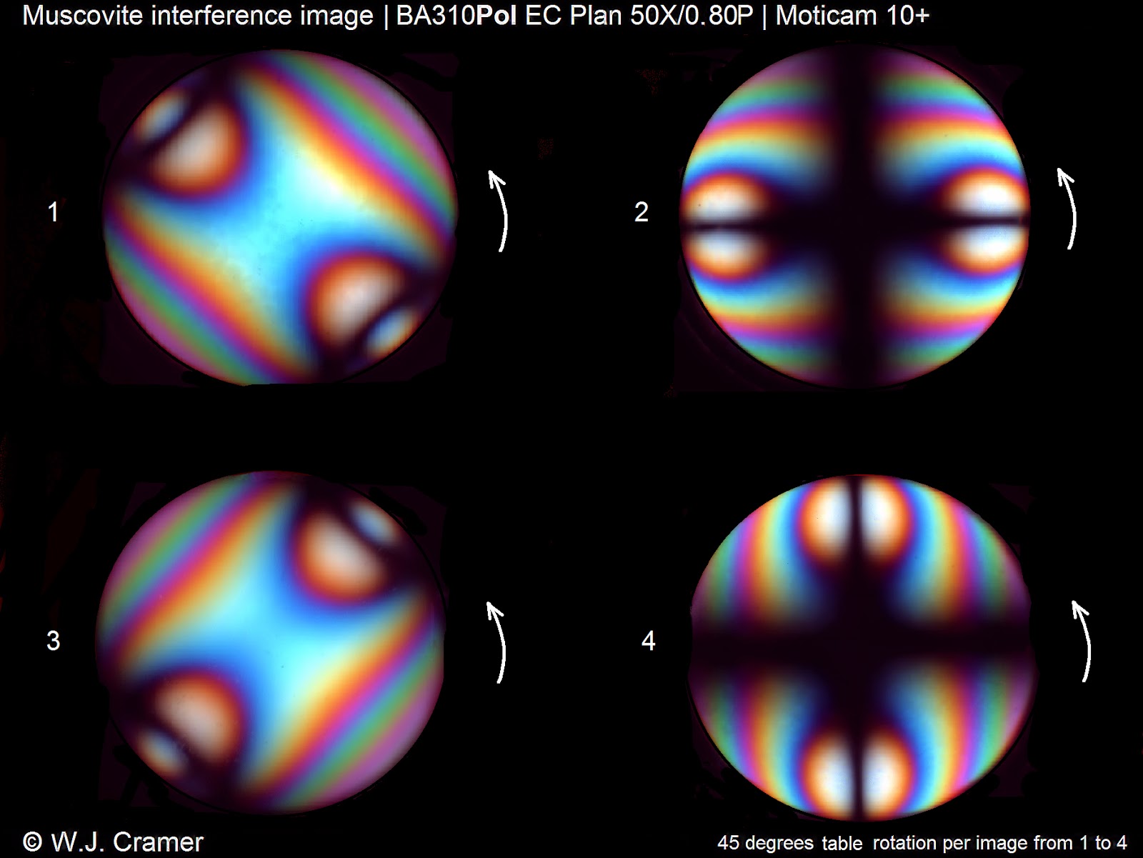Motic Europe | Blog: Muscovite under polarization microscope