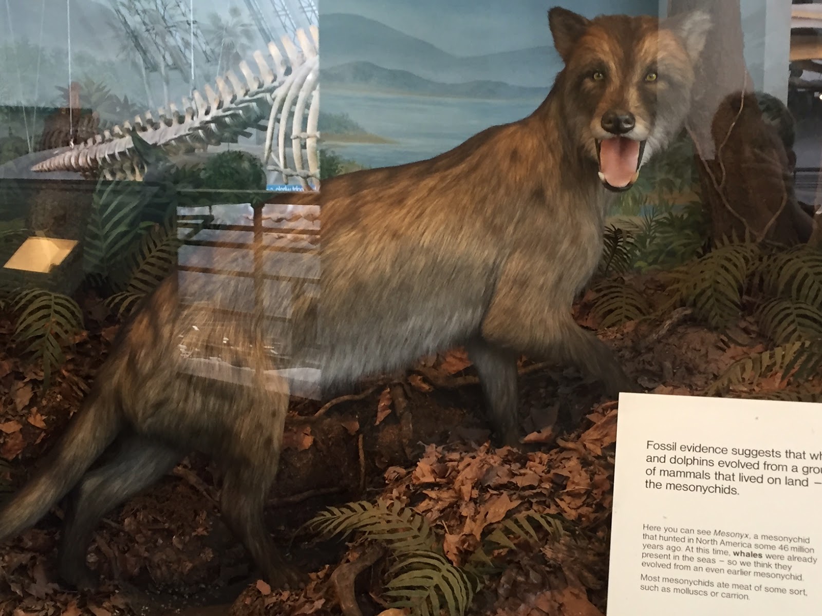 Christian Honore's Paleo-Art