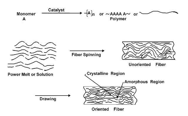 Textile Solution BD: FORMATION AND MORPHOLOGY OF TEXTILE FIBER (Polymer ...