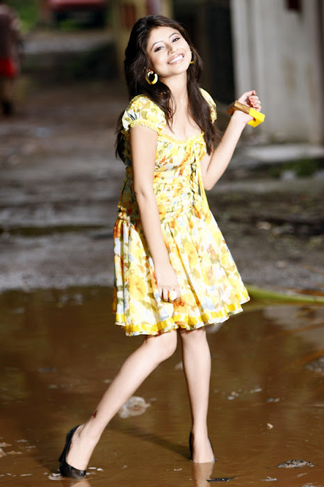 Sexy Swathi Sharma Mix hot pose bikini stills ~ Latest Cinema Photos ...