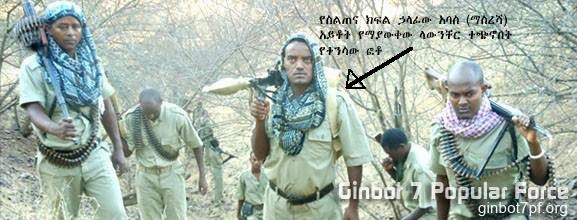 Ethiopian Semay: December 2013