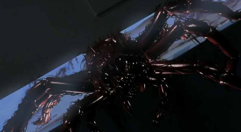 Spiders 2: Breeding Ground DVDRip - adriezel