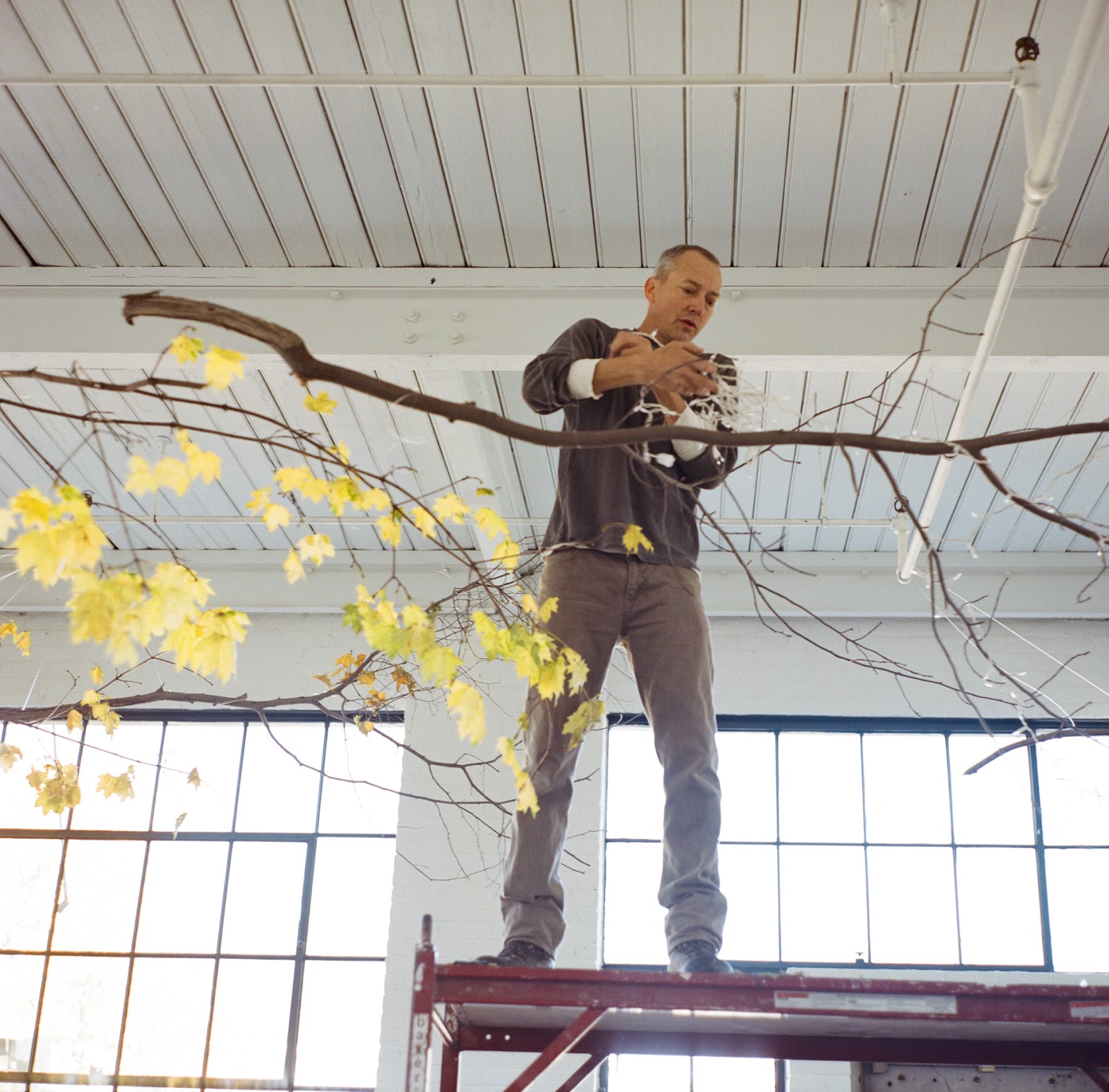 artifact24: lindsey & joseph