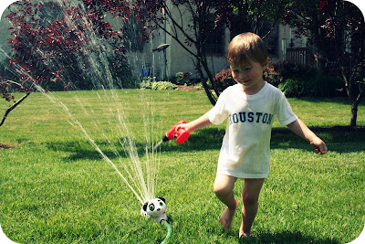 sweet cheery tree lane: good old fashion sprinkler fun