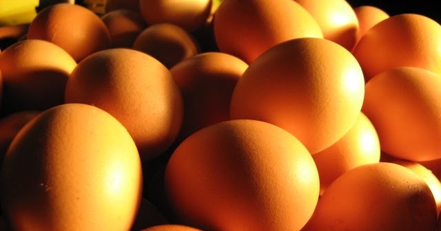 CANDOMBLÉ É PARA TODOS!: OVO - FUNDAMENTAL