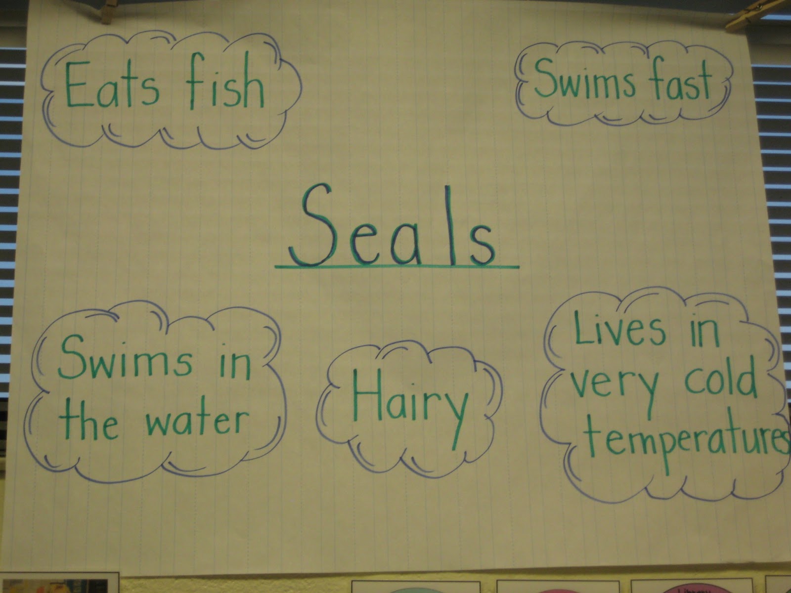 The Kindergarten Pod: Arctic Animals Unit - Day 1