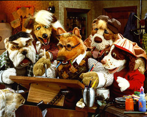 SATURDAY MORNINGS FOREVER: DOG CITY