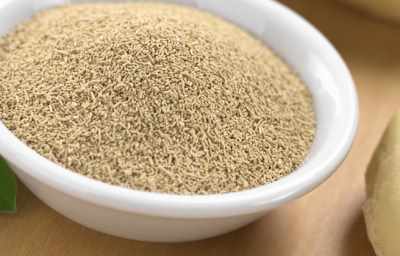 Pivski kvasac – Biljna Ljekarna