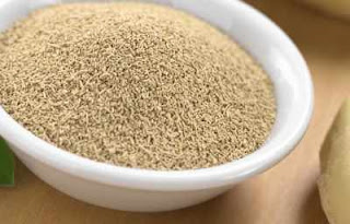 Pivski kvasac – Biljna Ljekarna