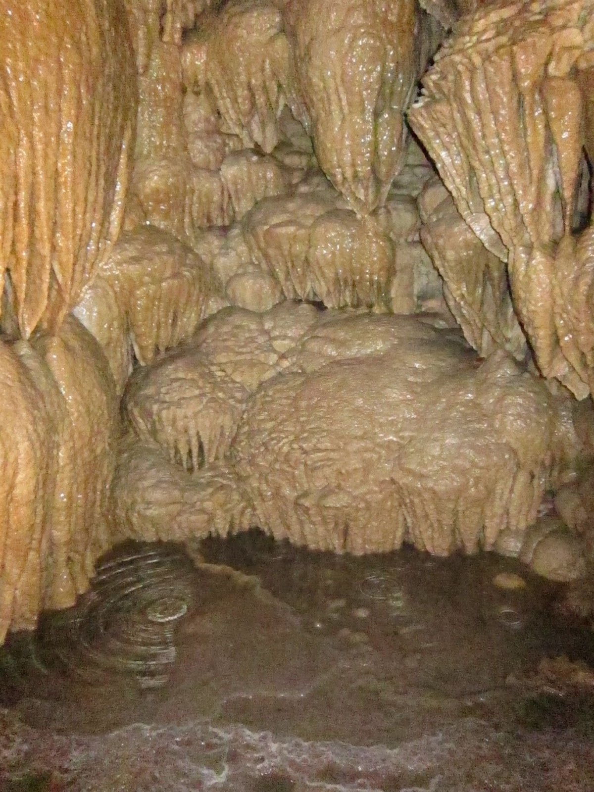 J and A's Excellent Adventure: Oregon Caves National Monument