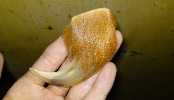 Jimat Khas Indonesia Yang Konon Masih Banyak Digunakan Orang - Berita ...