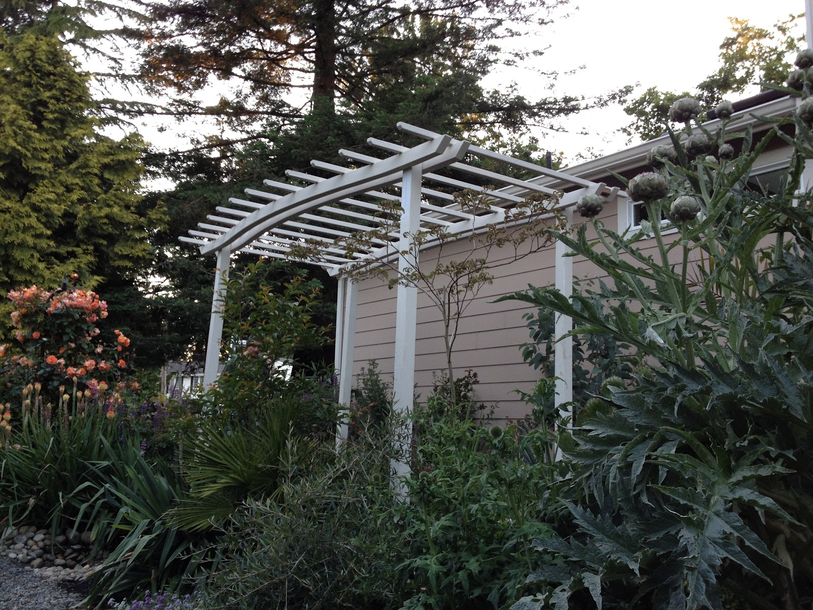 Growing Steady: Grape Trellis: Done!