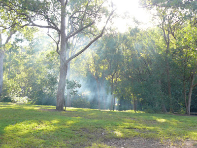 Yukiko's diary in Brisbane: Picnic at Mt. Coot-tha (JC Slaughter Falls)