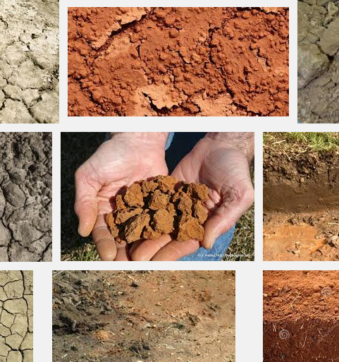 Z78 - Farm : Farm 82 - farm soil and underground clay ... cassius clay