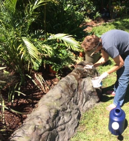 Life is a Journey: Making Faux Rocks for My Landscape